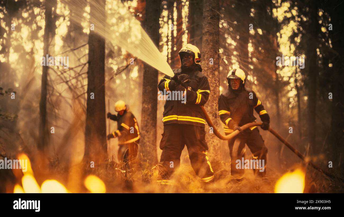 Experienced African American Firefighter Extinguishing a Wildland Fire ...