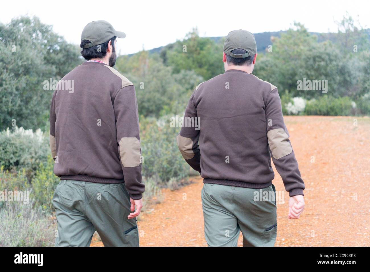 Two male rangers in uniform with their backs turned walking in nature ...