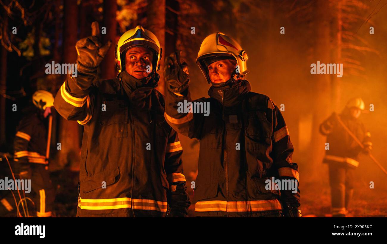 Firefighters work during forest fire hi-res stock photography and ...