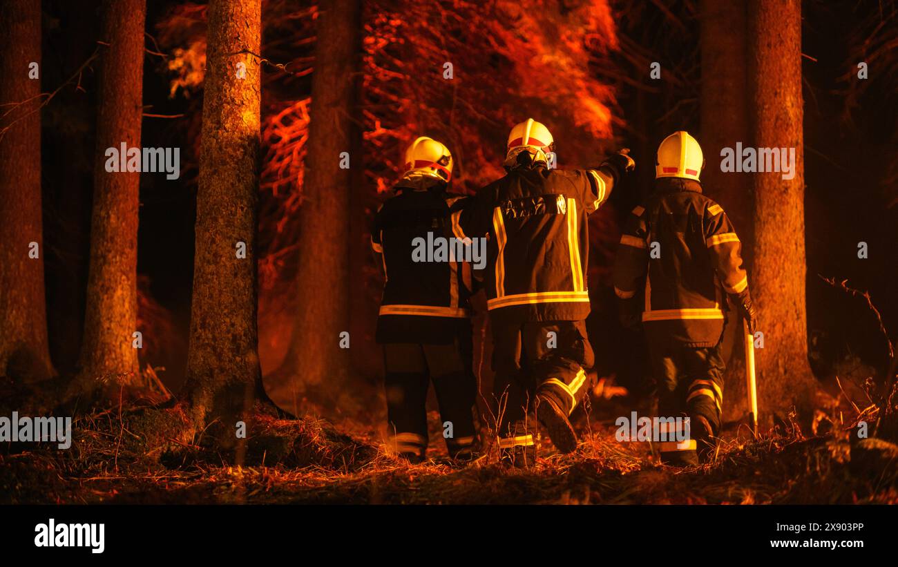Diverse Squad of Male and Female Firefighters Trail Deep in a Forest to ...