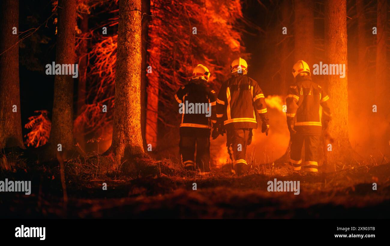 Diverse Squad of Male and Female Firefighters Trail Deep in a Forest to ...