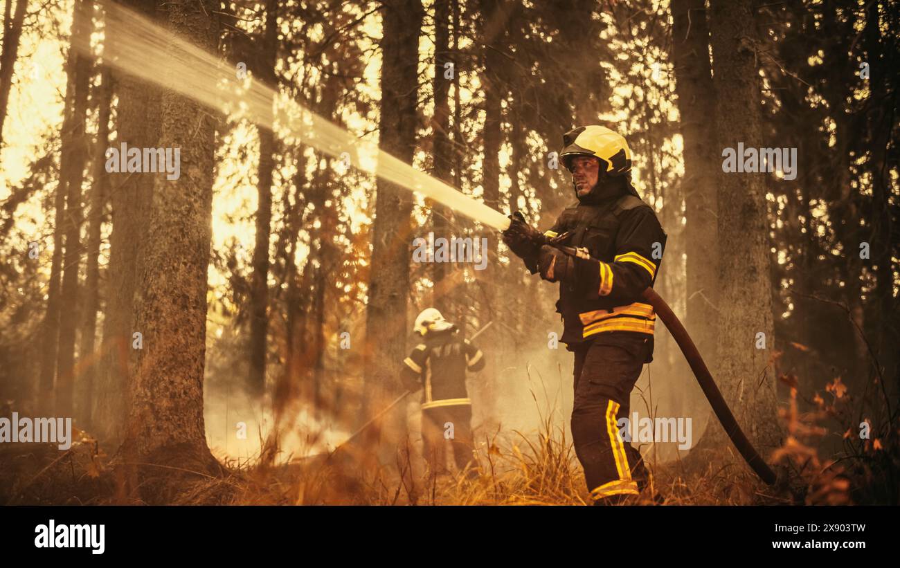 Experienced Firefighter Extinguishing a Wildland Fire Deep in a Forest ...