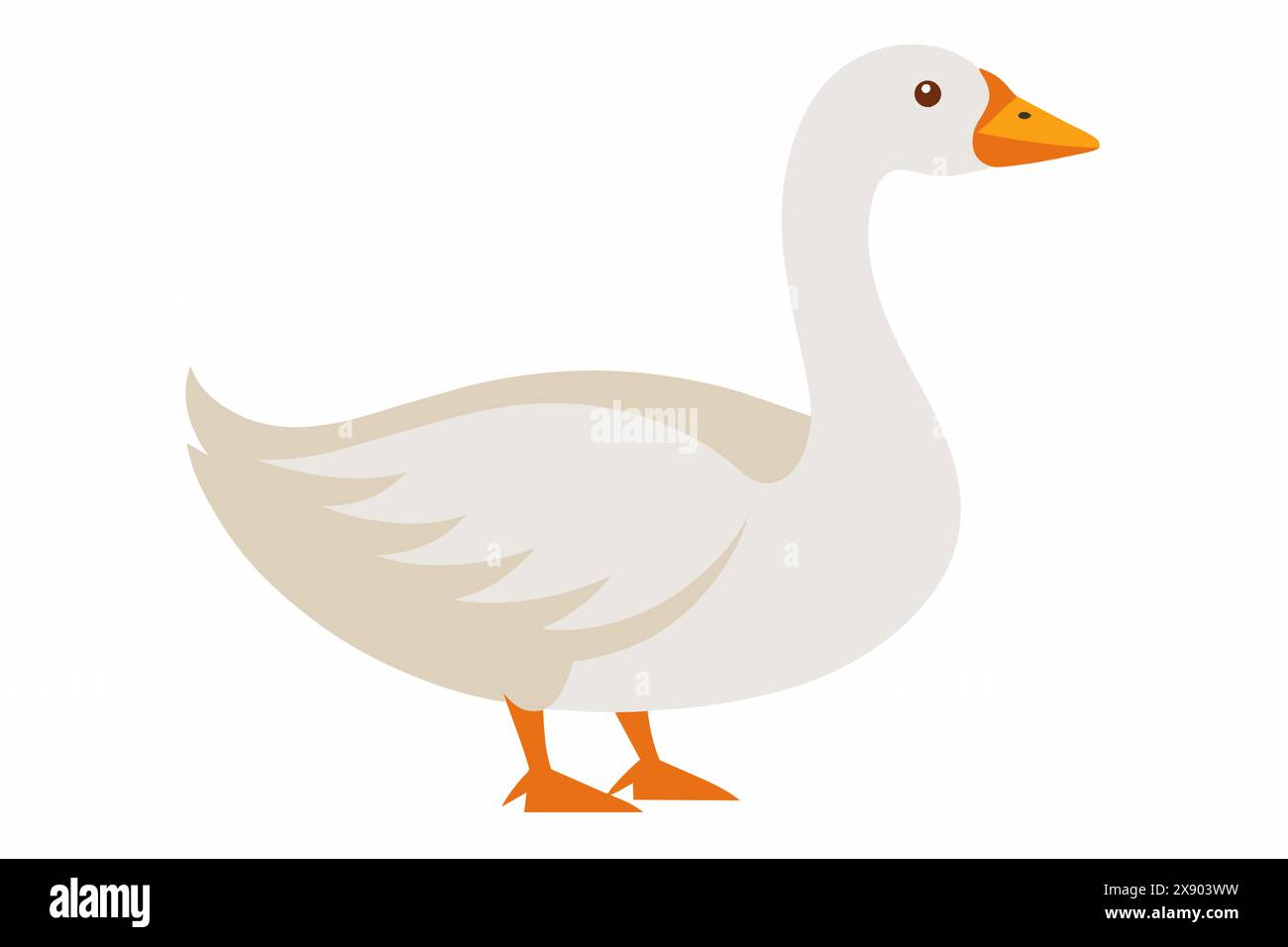 White goose with orange beak and feet standing, bird illustration ...