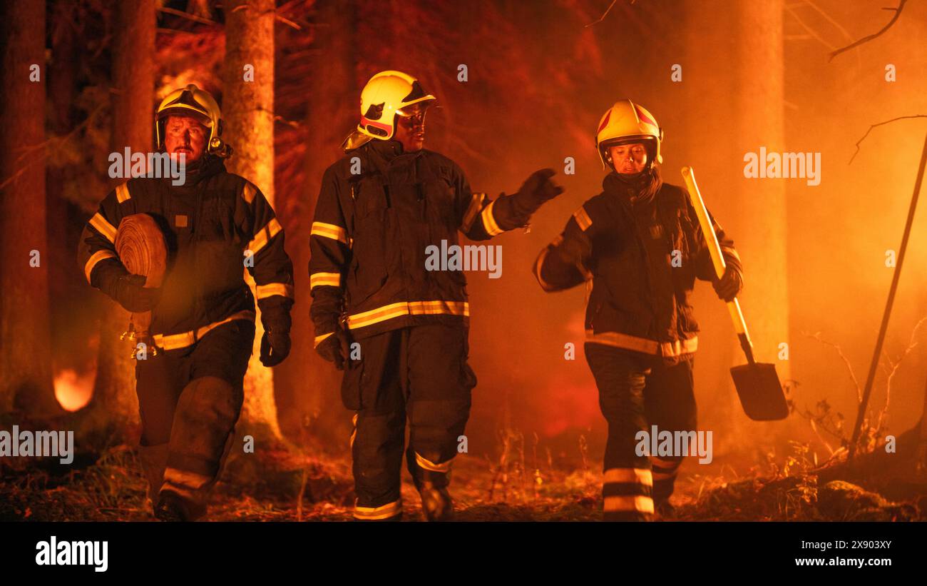 Professional Firefighters Crew Walking in a Smoke-Filled Forest ...