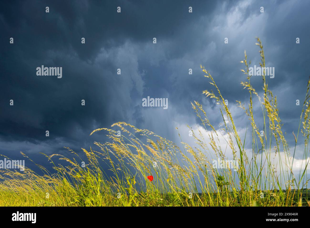 Sachsen Unwetter Heute
