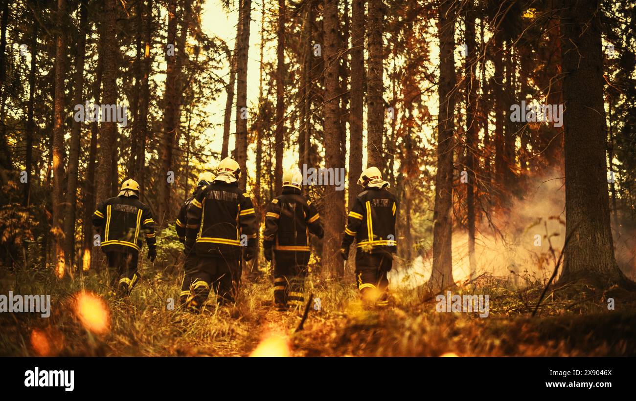 Professional Firefighters Crew Walking in Forest, Controlling a ...