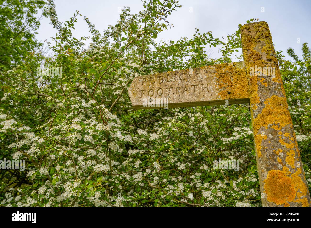 Footpath sign near Fuller Street and Terling Essex Stock Photo - Alamy