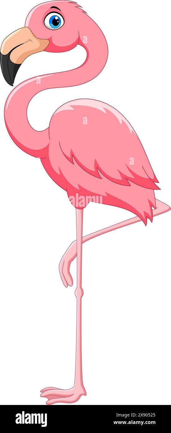 Vector Illustration of Cute Cartoon Flamingo bird on white background ...