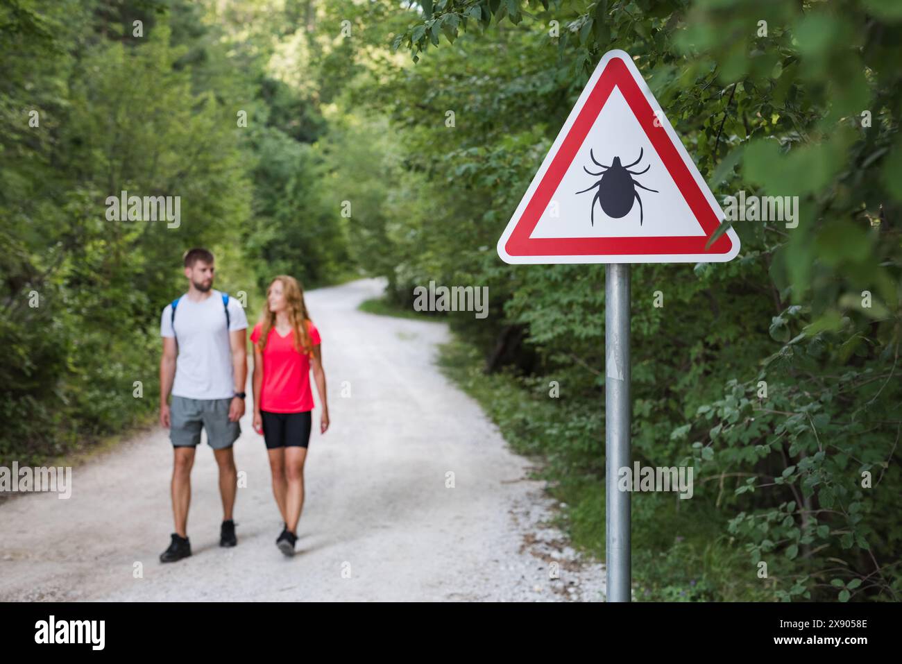 Tick safety awareness hi-res stock photography and images - Alamy