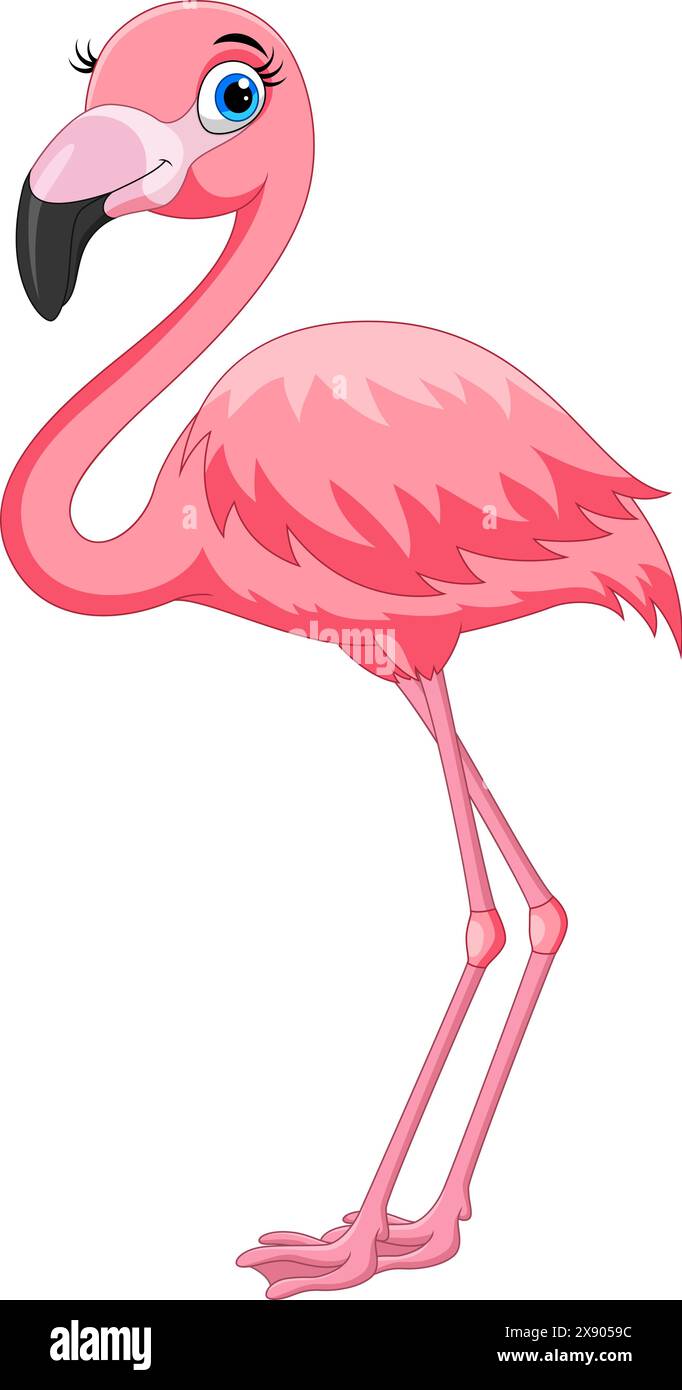 Vector Illustration of Cute Cartoon Flamingo bird on white background ...