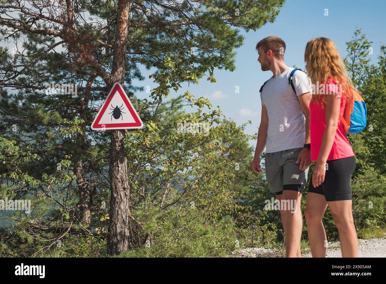 Man and woman walking on the hiking path near the ticks infected forest ...