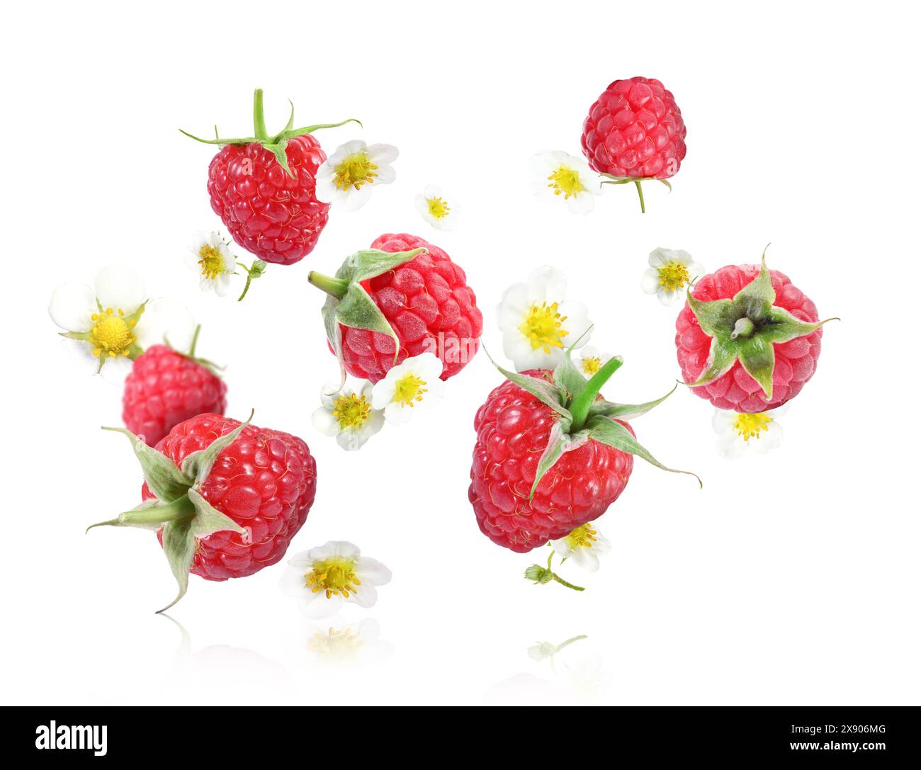 Ripe raspberries and flowers in air on white background Stock Photo - Alamy