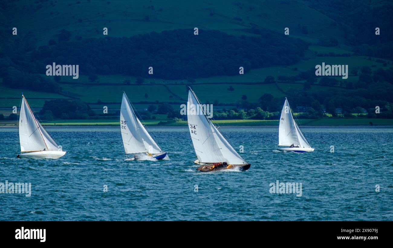 Dingy racing in a regatta on May 27th 2024 in the Menai Straits from ...