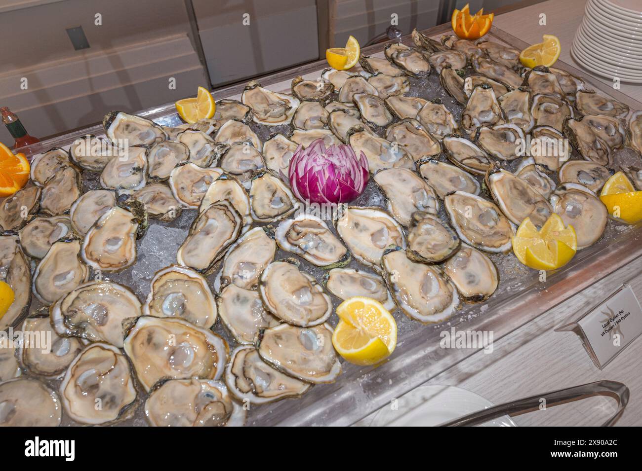 Raw oysters on the half shell Stock Photo - Alamy