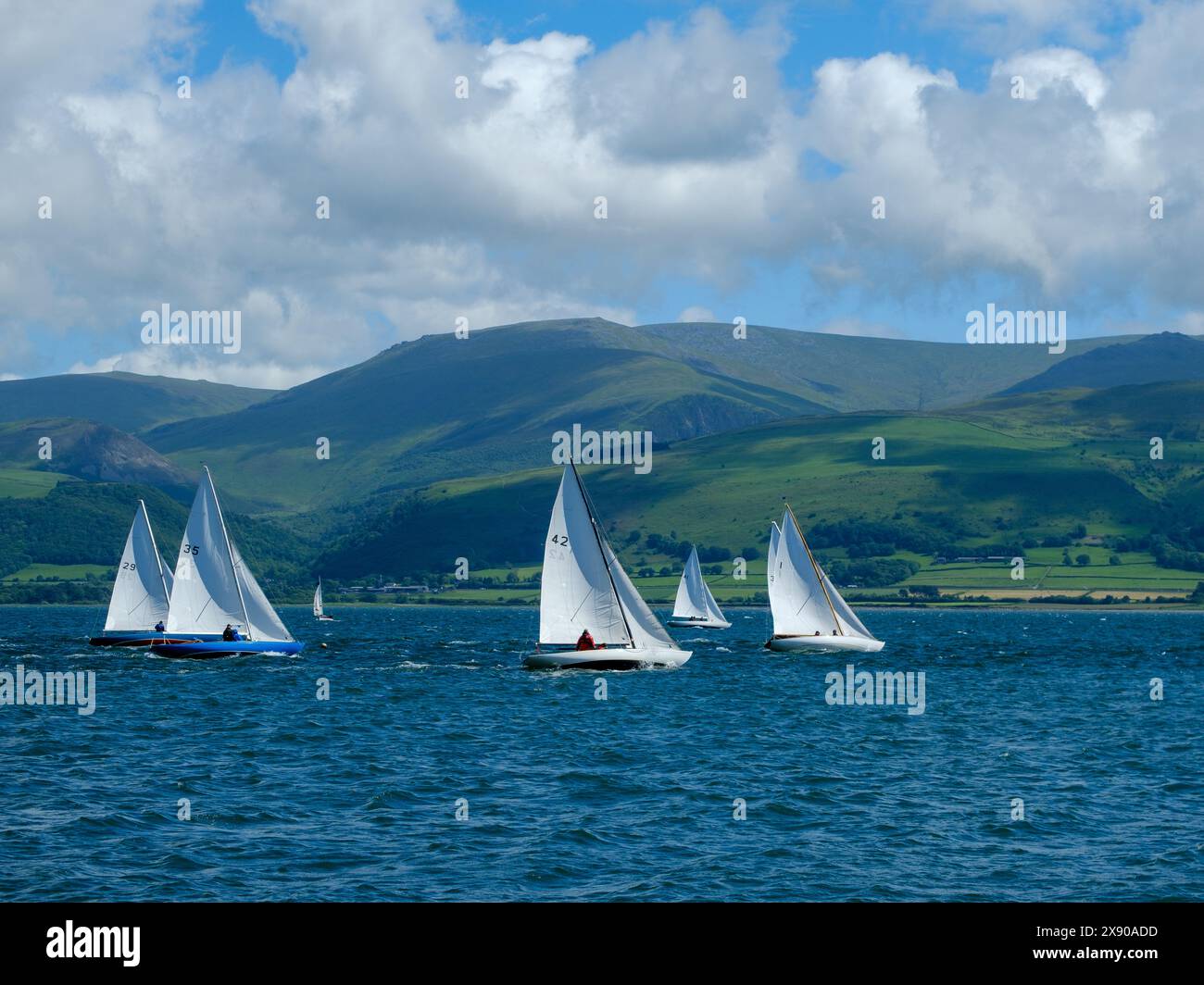 Dingy racing in a regatta on May 27th 2024 in the Menai Straits from ...