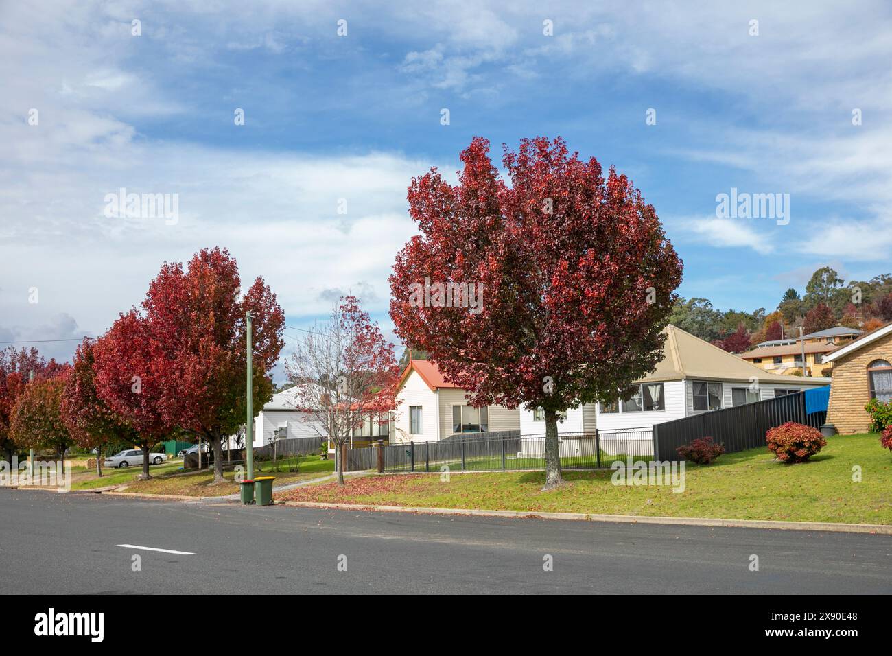 Australia, autumn tree leaf colour in Walcha, australian town in the ...