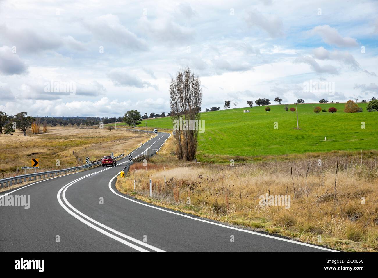 Australia, autumn colours in the trees beside Oxley highway road ...