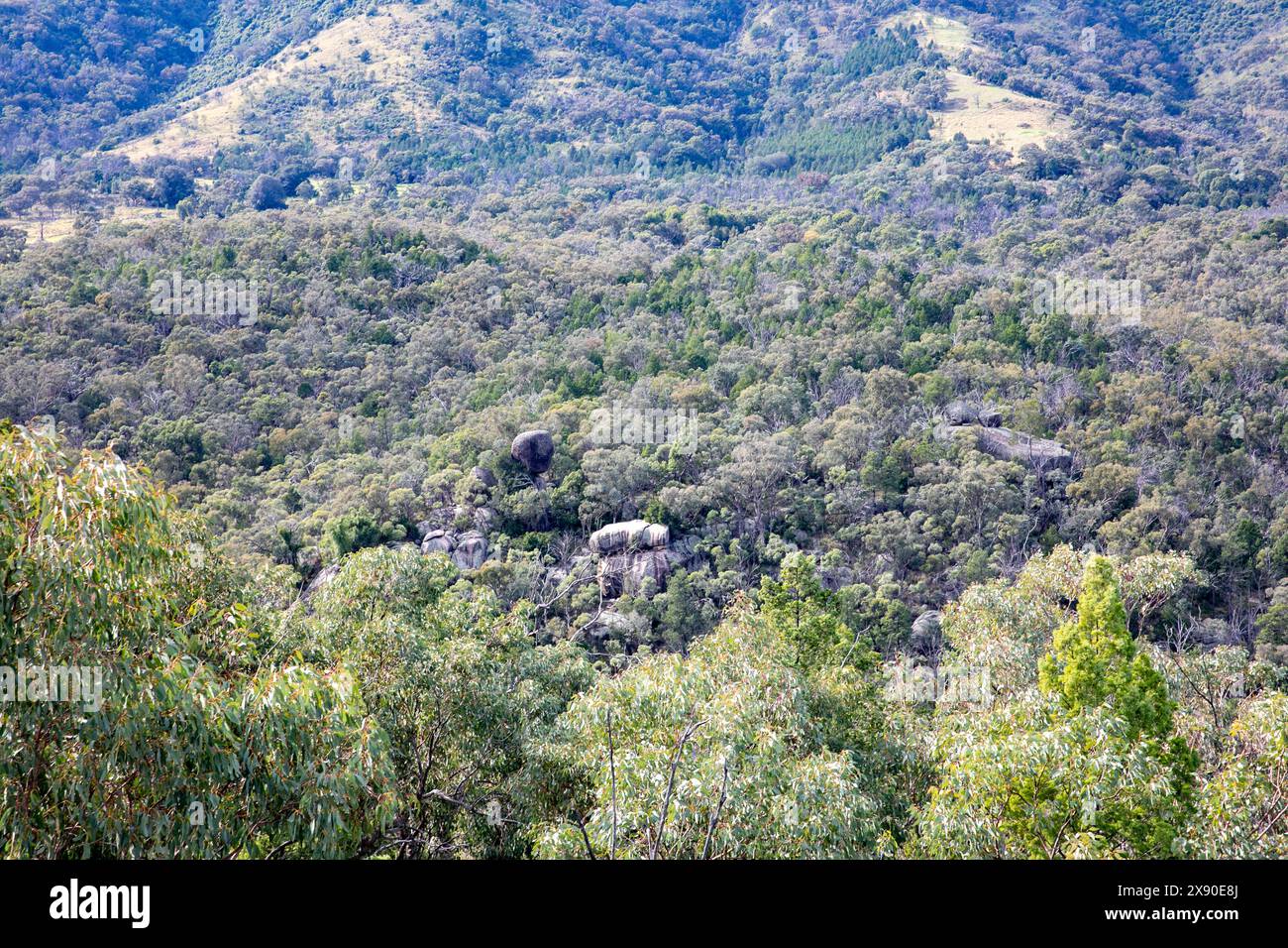 Moonbi park near Tamworth provides spectacular lookout over the Moonbi ...