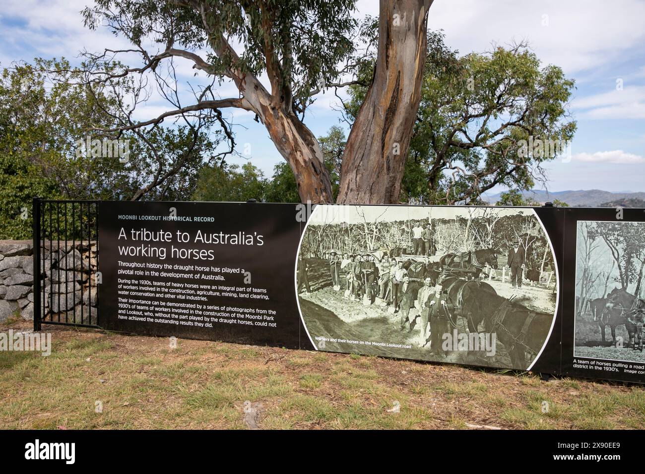 Moonbi park near Tamworth provides spectacular lookout over the Moonbi ...