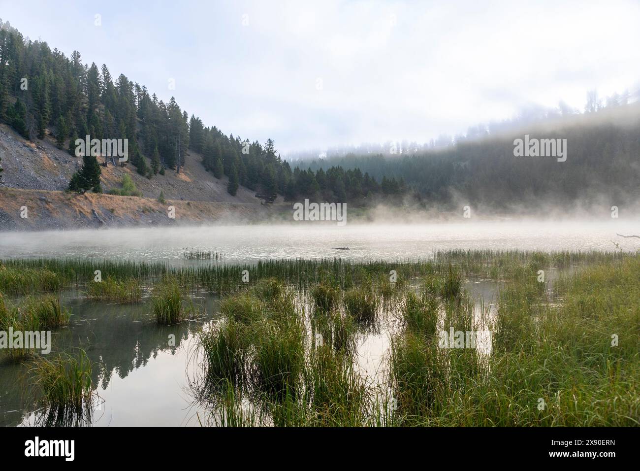 Early morning mist over Cliff Lake, Montana, USA Stock Photo - Alamy