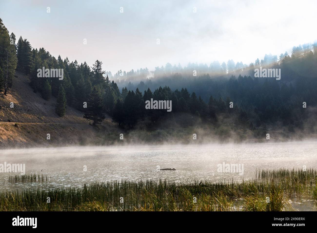 Early morning misty water hi-res stock photography and images - Alamy