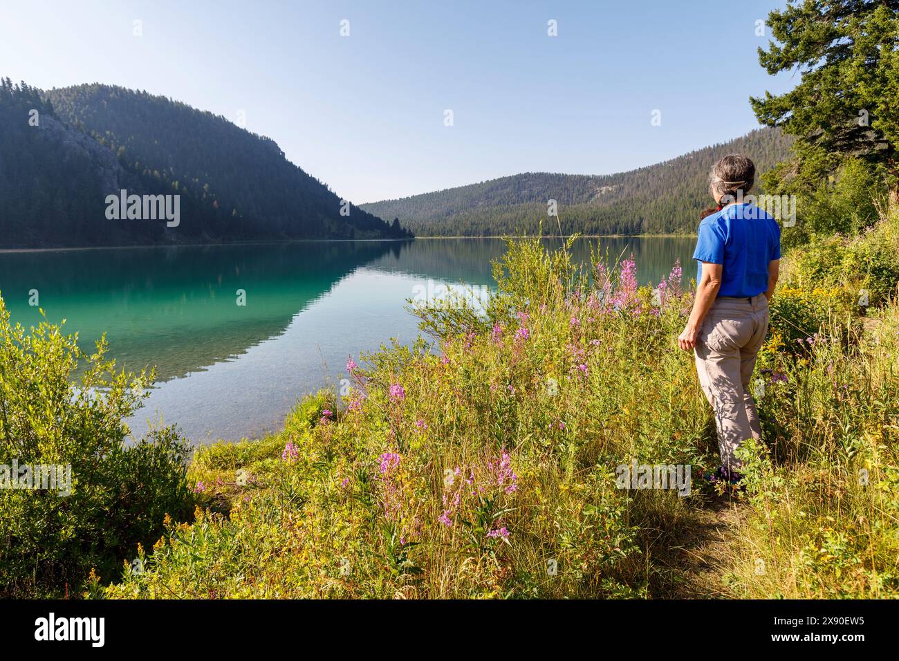 Cliff Lake, Montana, USA Stock Photo - Alamy