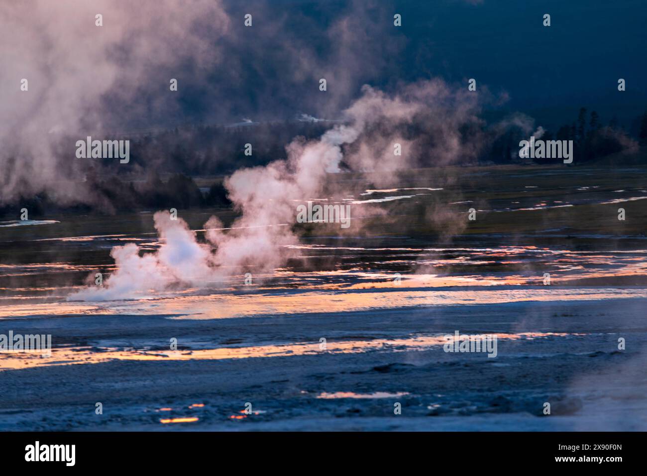 Lower Geyser Basin, Yellowstone National Park, Wyoming, USA Stock Photo ...