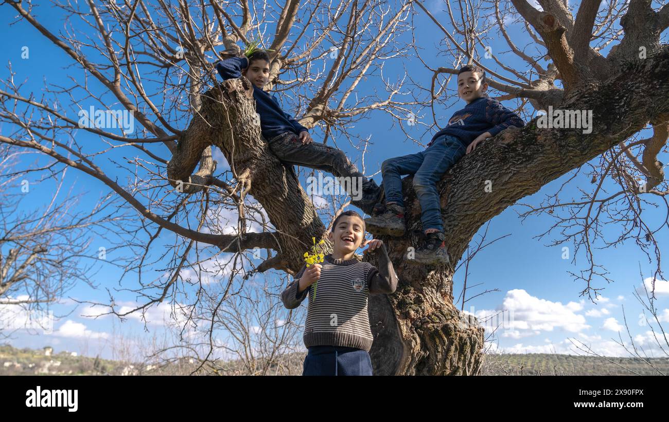 "In the heart of Idlib, northern Syria, where life meets the beauty of ...