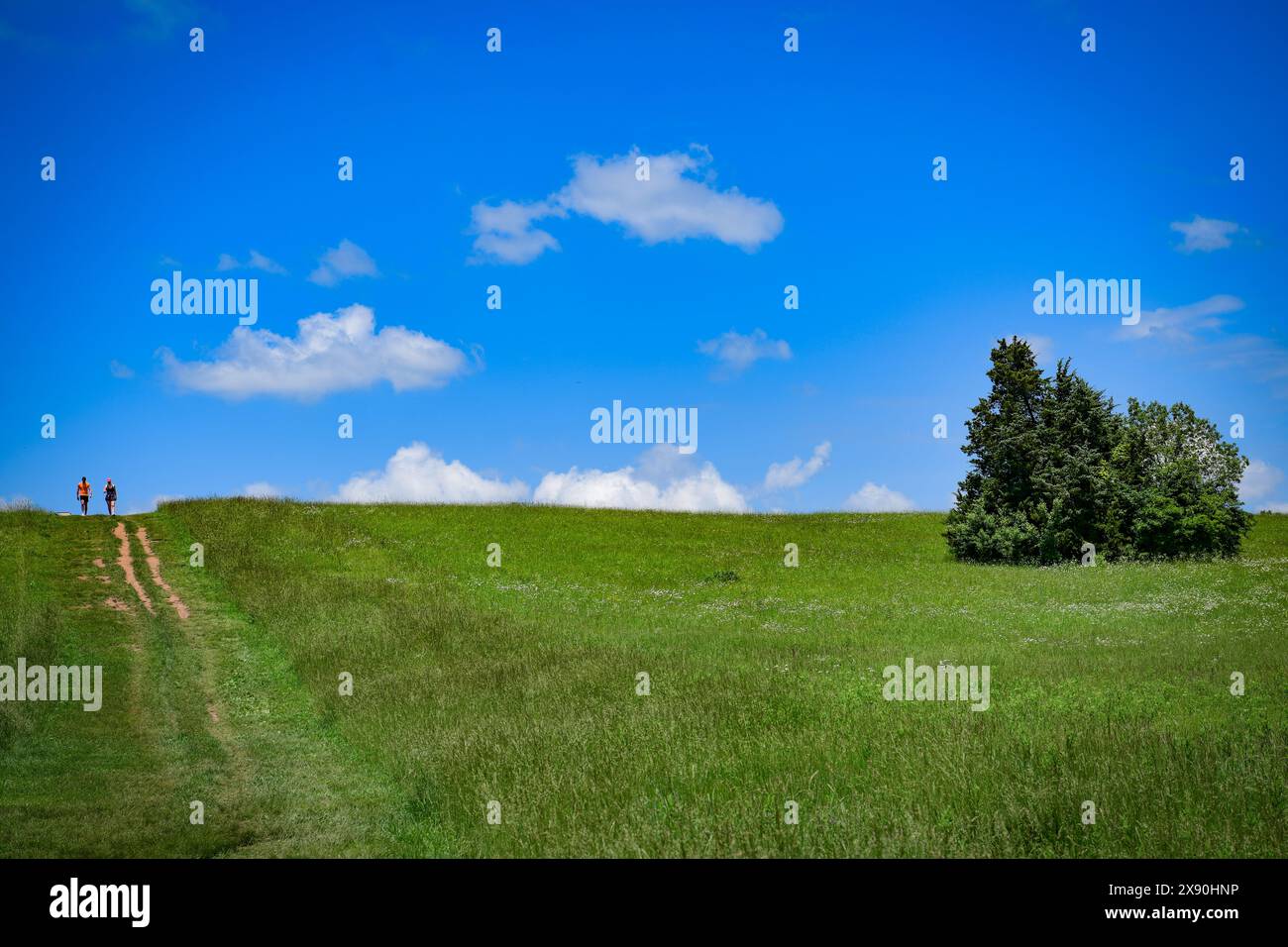 USA Virginia Manassas United States Civil War The battle of Bull Run ...