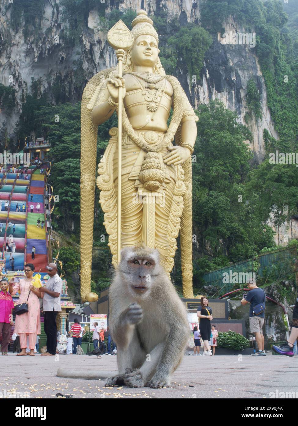 Long Tailed Macaque at Batu Caves Hindu Temple Macaca fascicularis ...