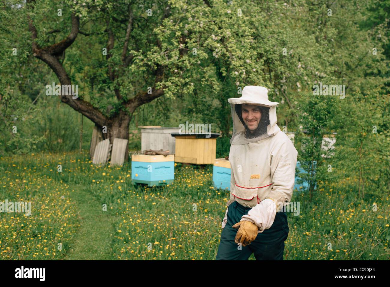 Male beekeeper in protective mask hi-res stock photography and images ...