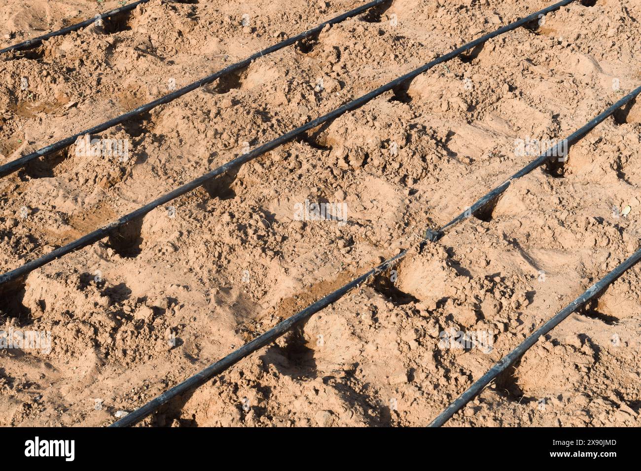Dubai, UAE - January 6, 2024: High-efficiency drip irrigation system ...