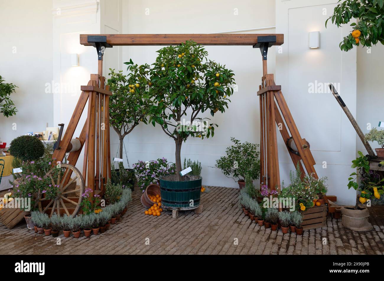 Vienna plants hi-res stock photography and images - Alamy