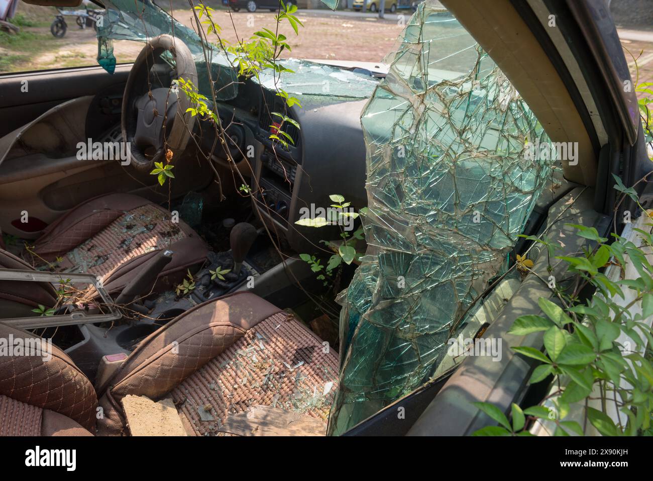 Crushed by vines hi-res stock photography and images - Alamy