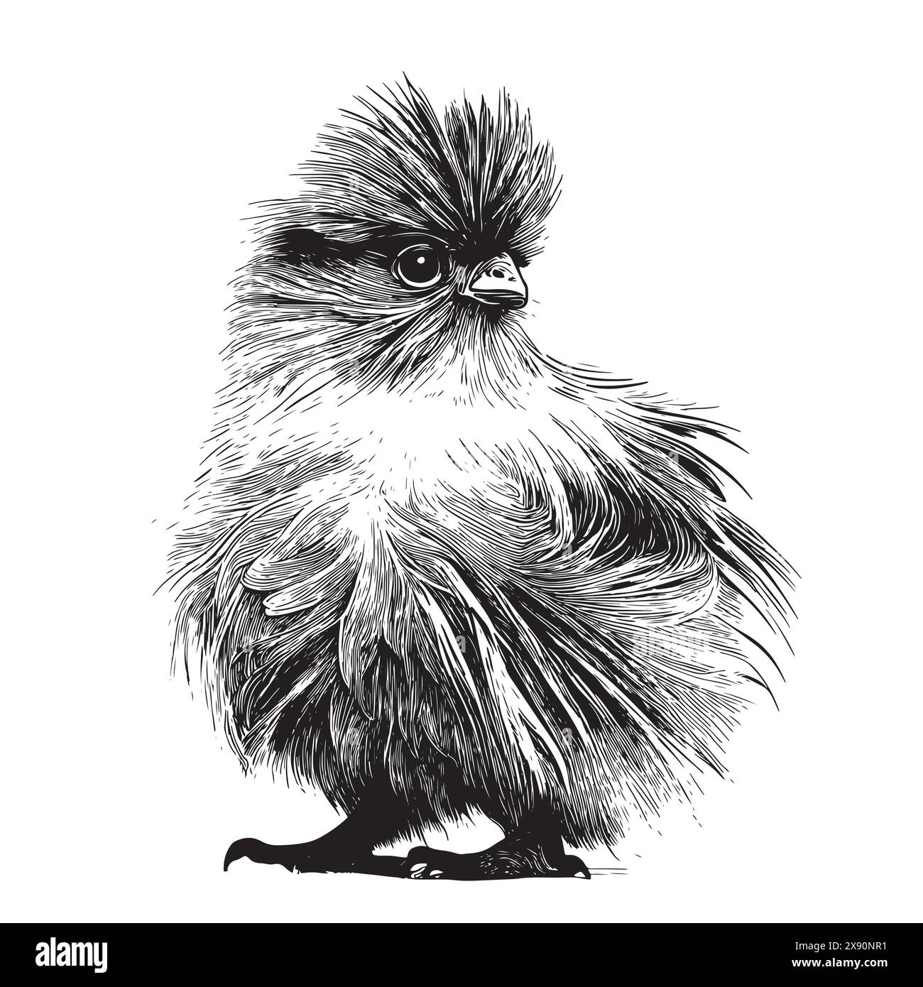 Sketch of cute little chicken. Vector sketch design elements. Hand ...
