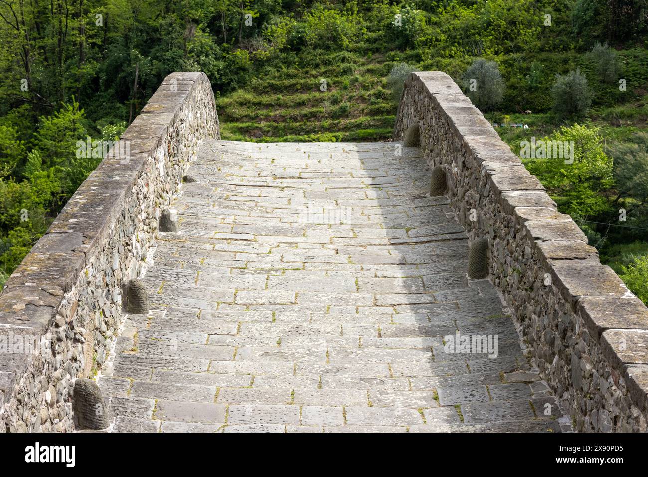 The famous Devil's Bridge - also known as Magdalene Bridge or Ponte ...