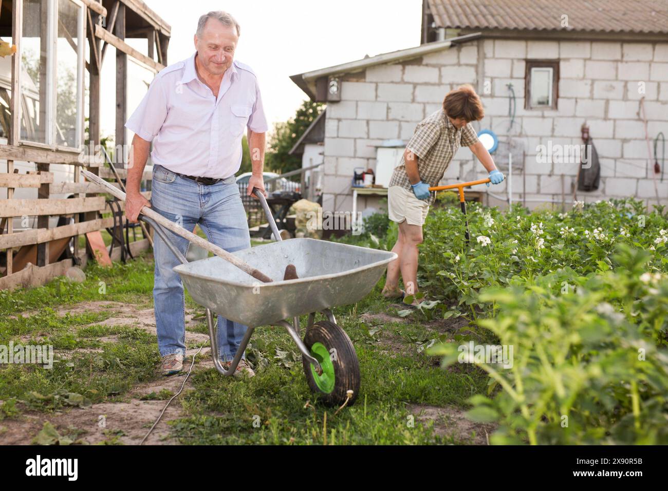 Collecting old tools hi-res stock photography and images - Alamy