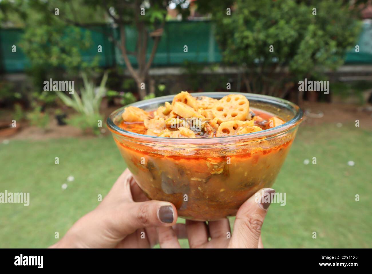 Female holding and serving Tasty Lotus stem curry, a side dish made ...