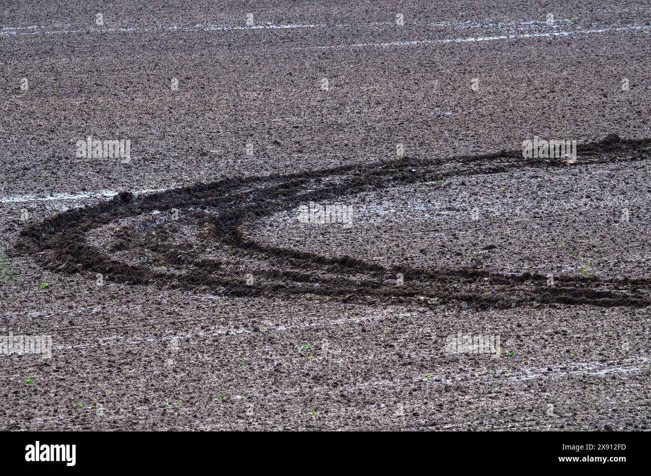 Magdeburg, Germany. 28th May, 2024. Turning tracks of a vehicle can be ...