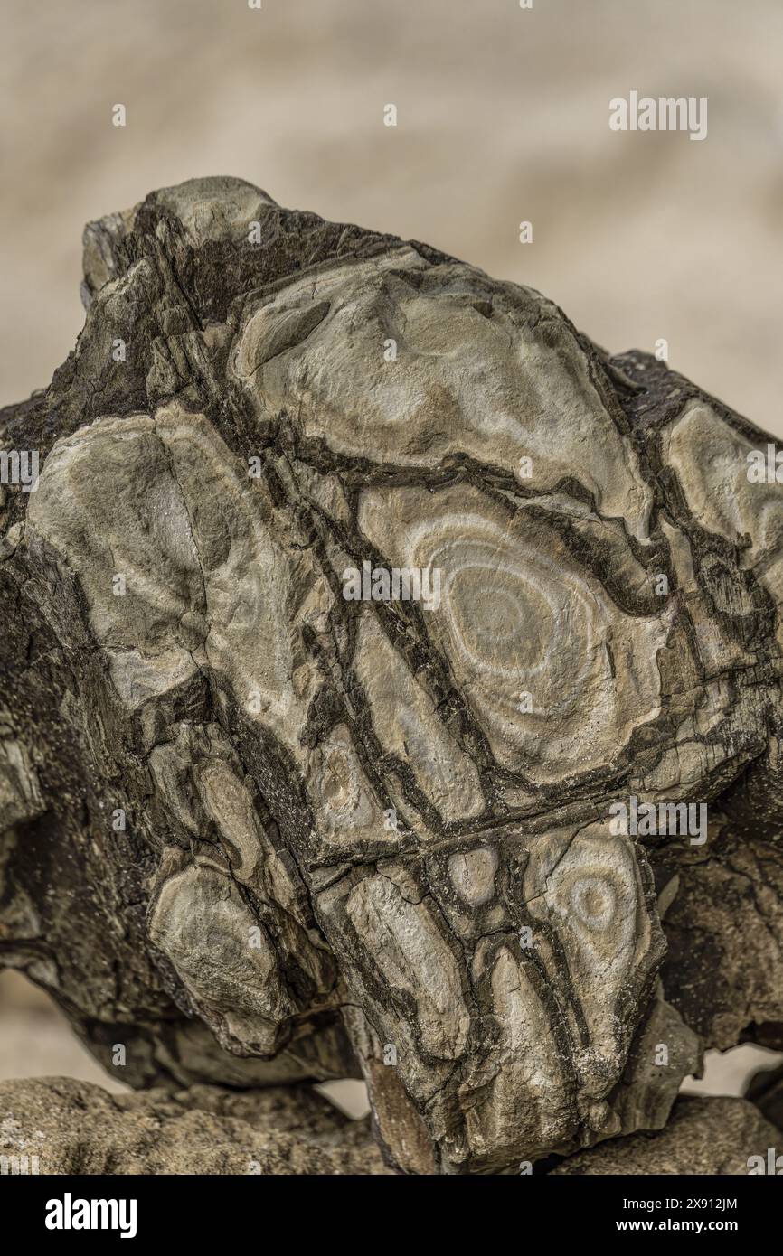Detailed geological features hi-res stock photography and images - Alamy