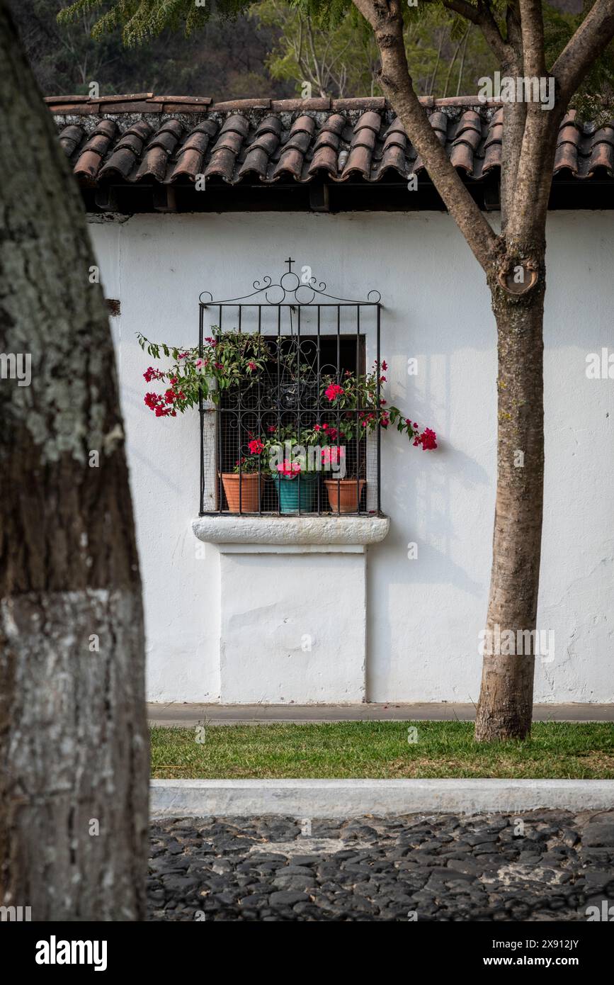 Window with geraniums, Spanish colonial era house, Antigua, Guatemala ...