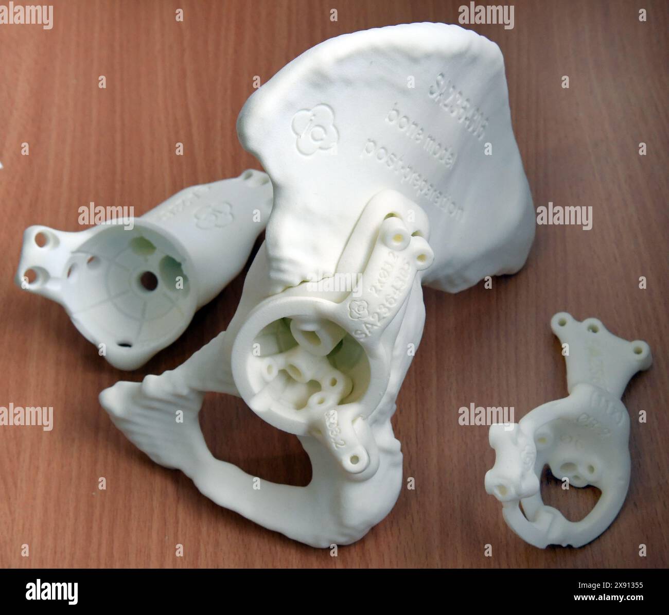 3d pelvic bones hi-res stock photography and images - Alamy