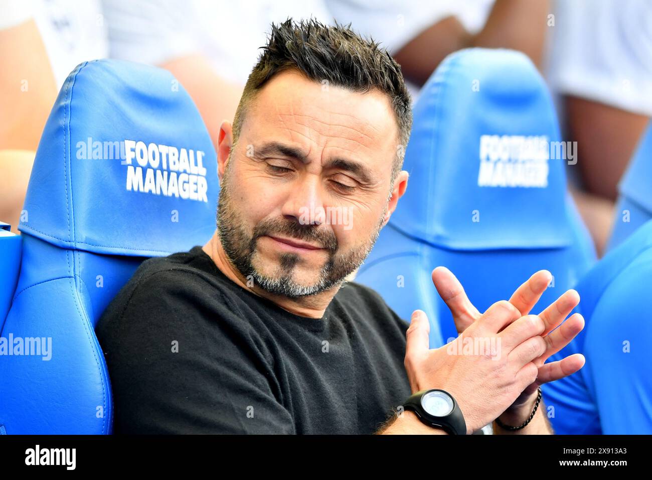 Manager of Brighton and Hove Albion Roberto De Zerbi - Brighton & Hove ...