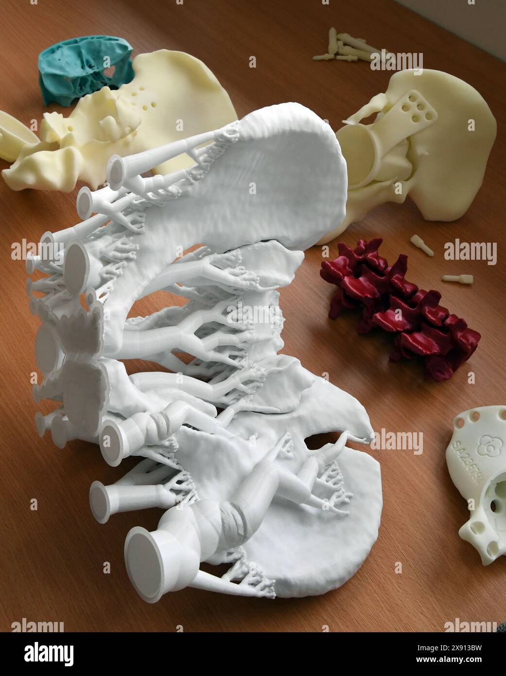 Ct pelvic bone 3d hi-res stock photography and images - Alamy