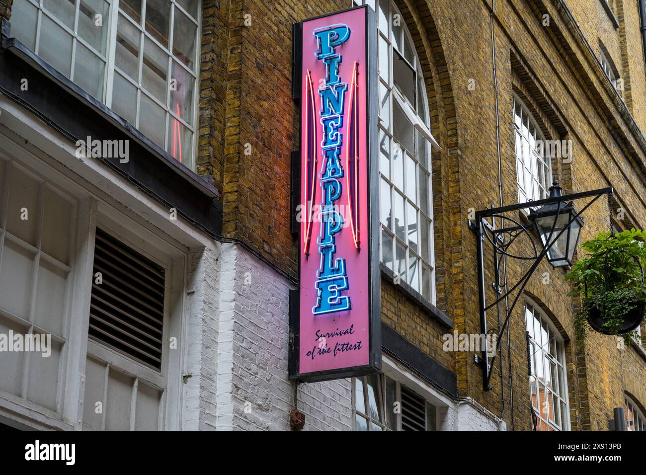 Pineapple Dance Studios, Covent Garden, London, England, UK, GB Stock Photo - Alamy