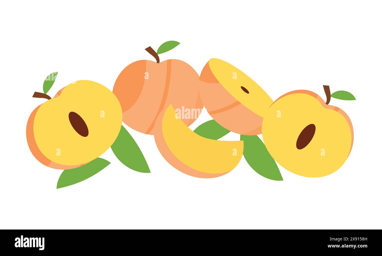 Peach Vector And Illustration Design Stock Vector Image & Art - Alamy