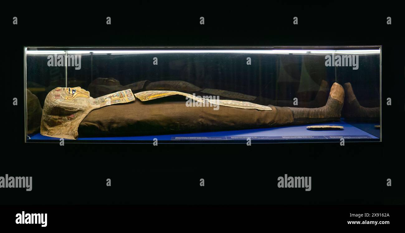 Perm, Russia - May 25, 2024: ancient Egyptian mummy in a museum ...