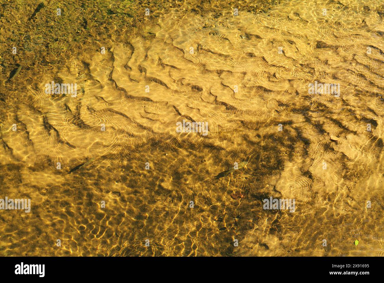 The waters of Rivanna River in Virginia, USA Stock Photo - Alamy