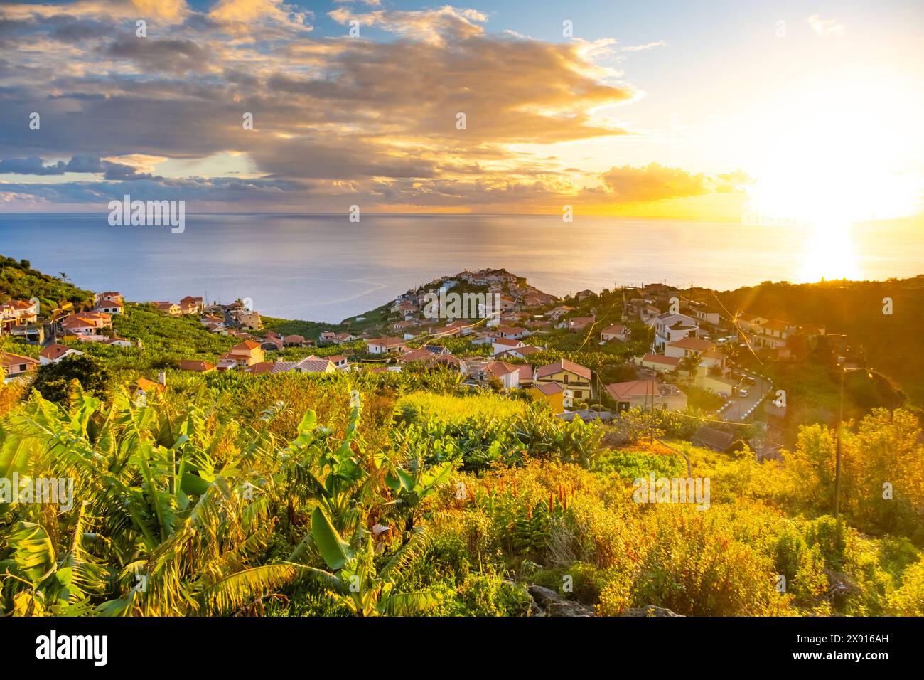 Taditional Madeiran houses in Funchal behind a banana plantation and ocean sunset Stock Photo ...