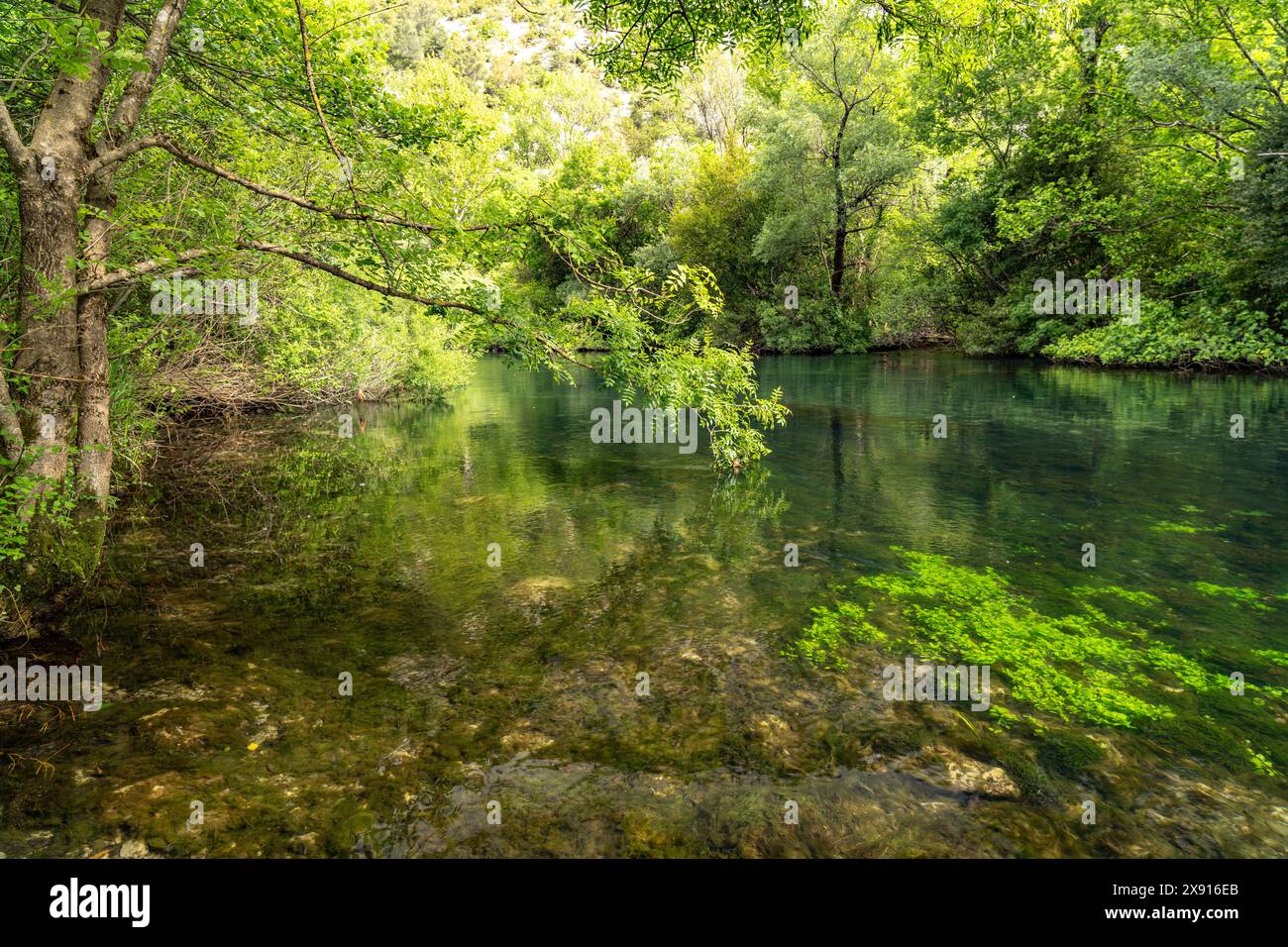 Der Fluss Cetina in der Cetina Schlucht bei Omis, Kroatien, Europa ...